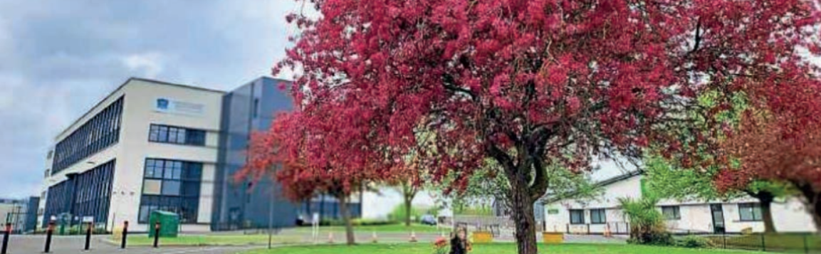 The Khalsa Academy - Big School